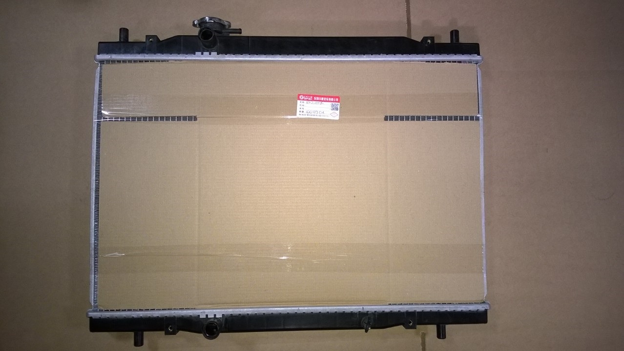 dfskparts.com - DFSK Parts Limited. Radiator